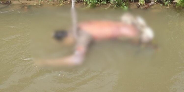 கிளிநொச்சியில் பரபரப்பு; ஆணொருவரின் சடலம் மீட்பு.! - Vampan