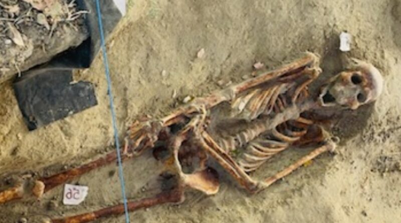 செம்மணியில் மேலும் 7 எலும்புக்கூடுகள்!! மொத்தமாக 63 எலும்புக்கூடுகள் மீட்பு!! வீடியோ - Vampan