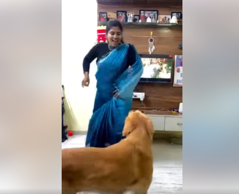 அக்கா நீங்கள் குட்டி போட்டால் எனக்கும் ஒரு குட்டி அனுப்பிவிடுங்கோ.... வீடியோ - Vampan